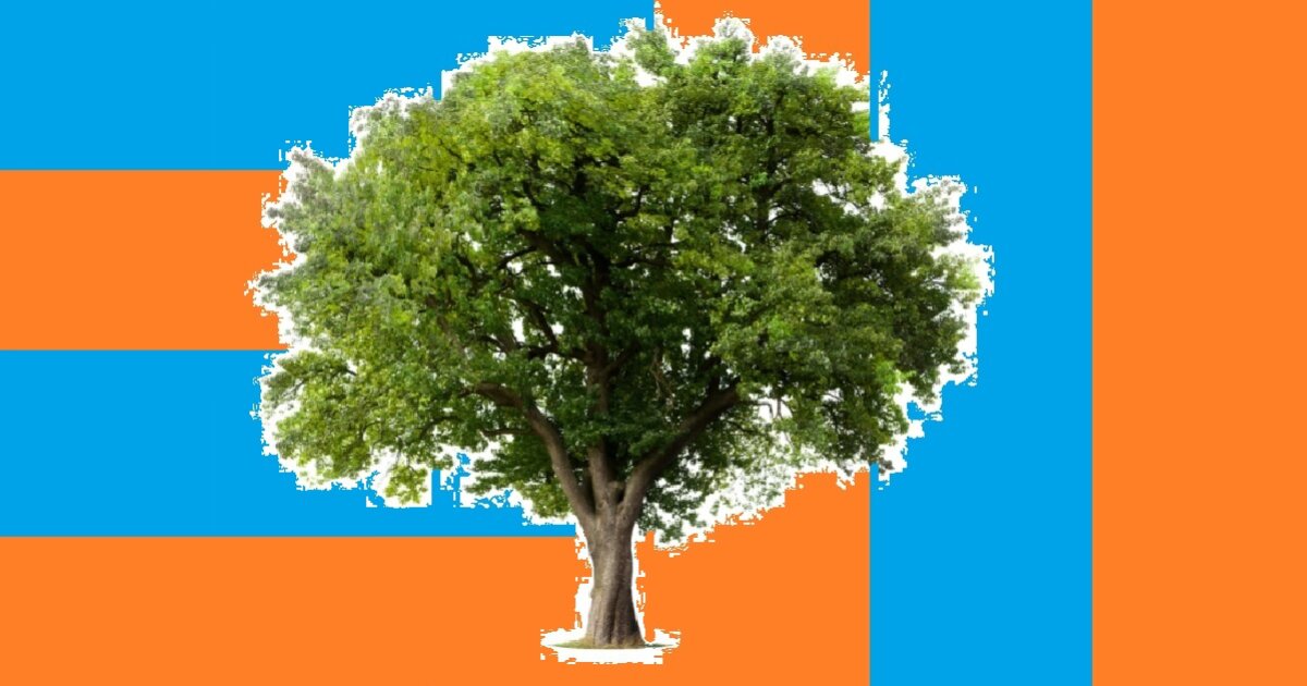 Killer Double Trees 365 - Colour Mayhem Quiz - By FGR