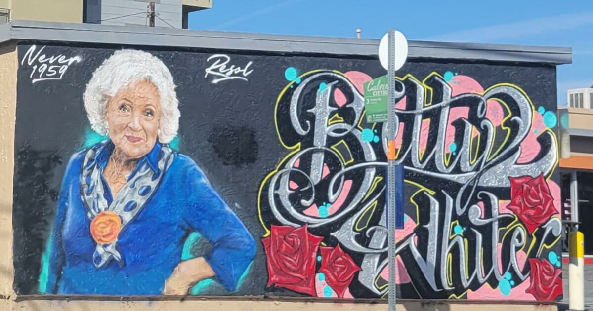 Famous People in Street Art Part 43 (Slideshow) Quiz - By BaronZbimg