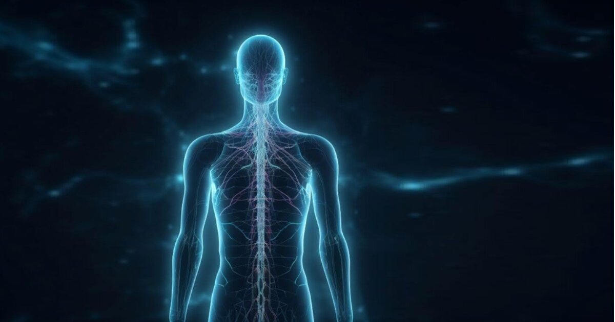 True-False Facts About the Human Body Quiz - By Ziggy_Montgomery