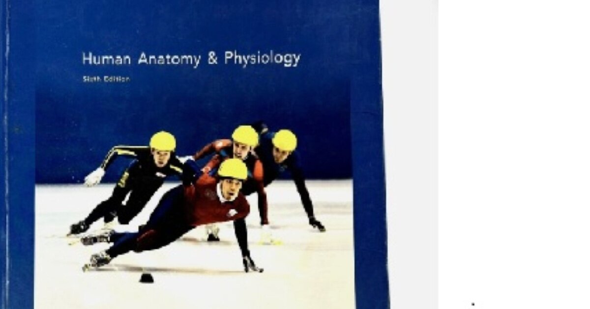Quick Pick - Anatomy Definitions 'A' Part 1 Quiz - By Narduc