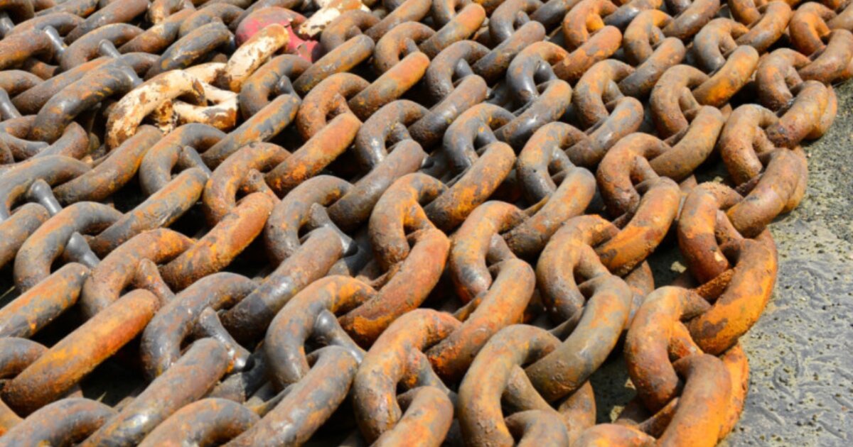 Short Order: Food Chain - Who eats What? Quiz - By Noodle33