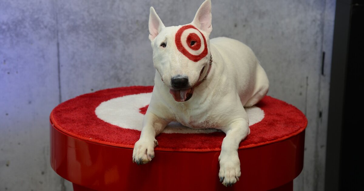 Find the Scrambled Dog Breeds II Quiz - By johncenafan612