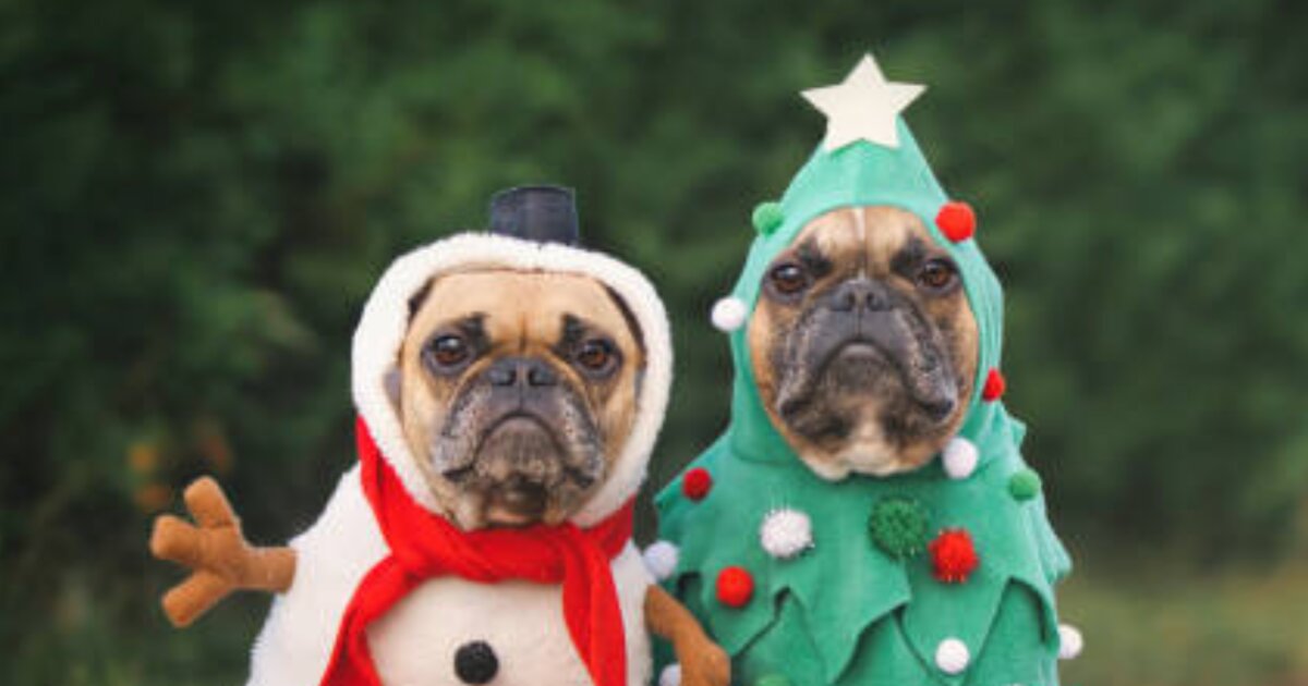 A Very Hapi Christmas: Meta Answers Quiz - By aherehapi