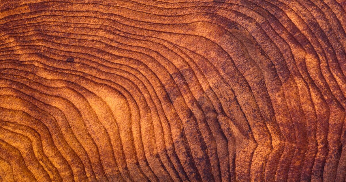 What type of wood is this? Quiz - By Dots_Cranfield