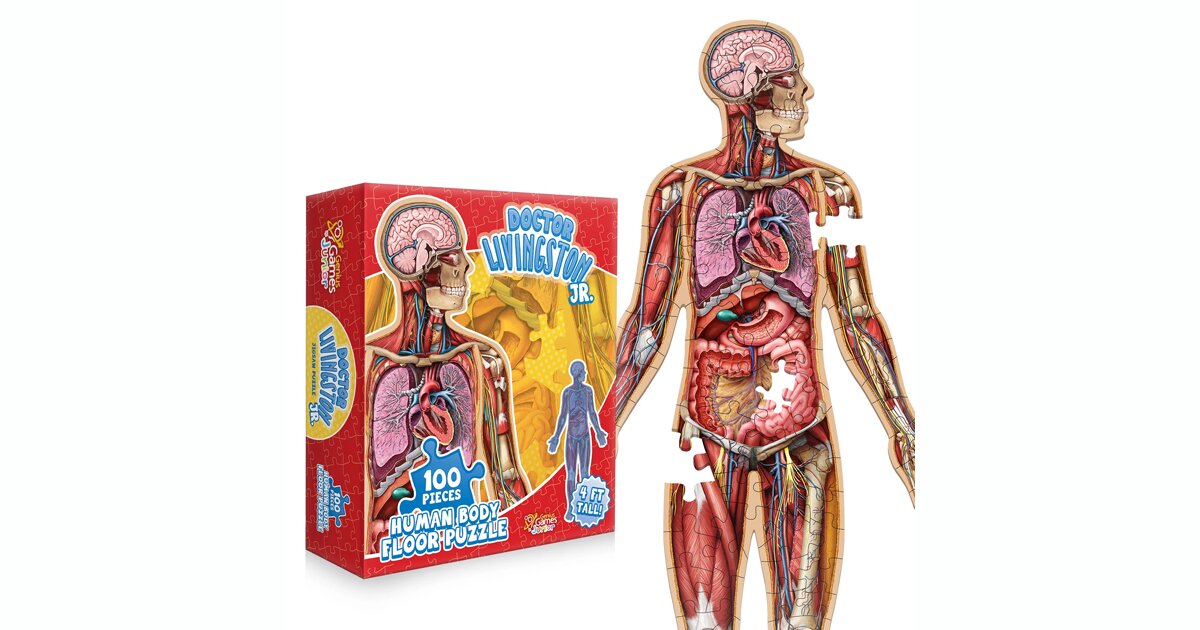 Where Does That Body Part Go? Quiz - By biggs364