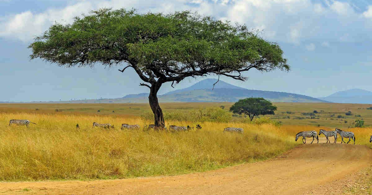 Click Africa by Leaders Quiz - By CP_quizzes