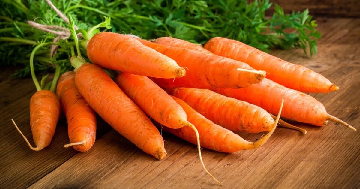 Find the Carrot Animals Quiz - By alvir28