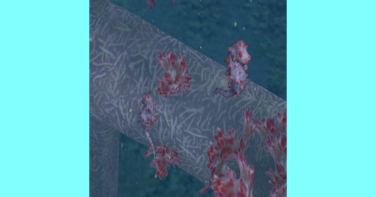 MRZRanger Favorite Endless Ocean Creatures Quiz - By MRZRanger1