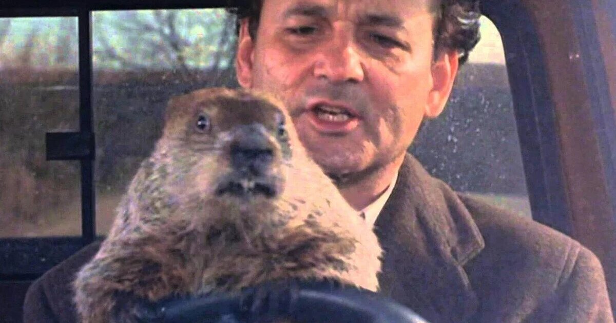 10 to 1 Groundhog Day Subjects Quiz - By Quizzle2651