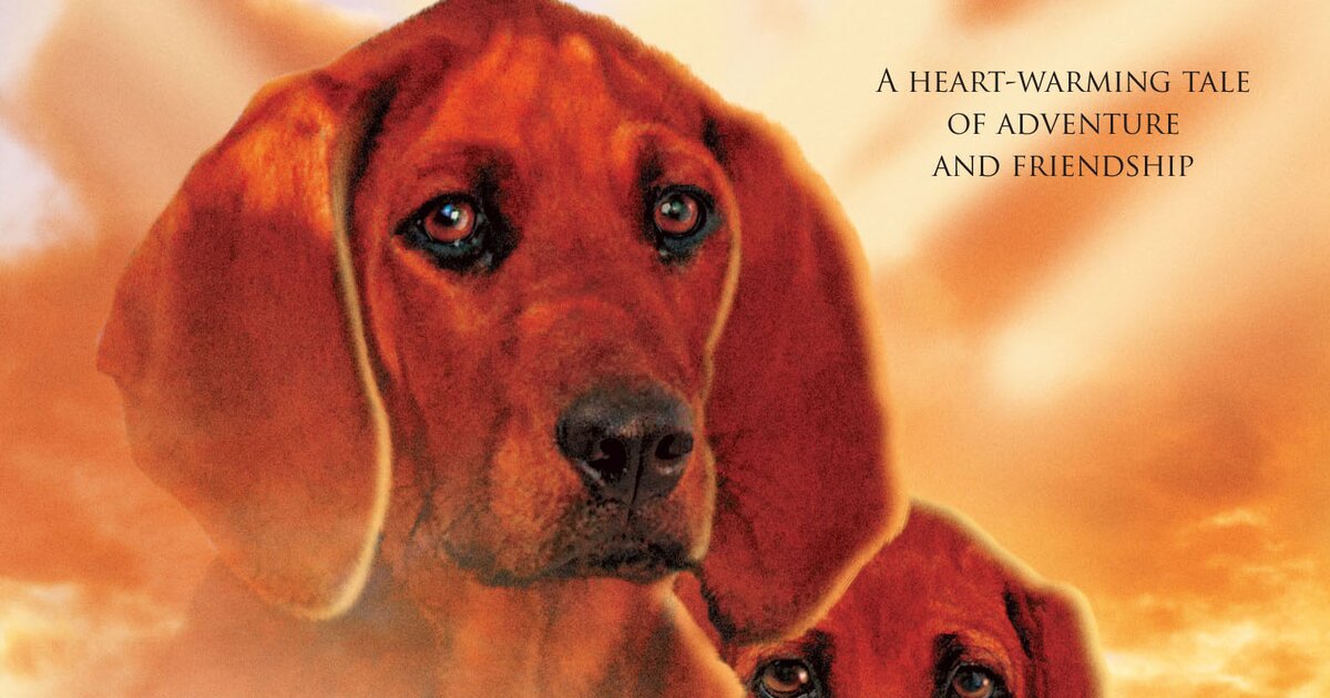 Complete the '70s Movie Titles II Quiz - By Kayla-Reed