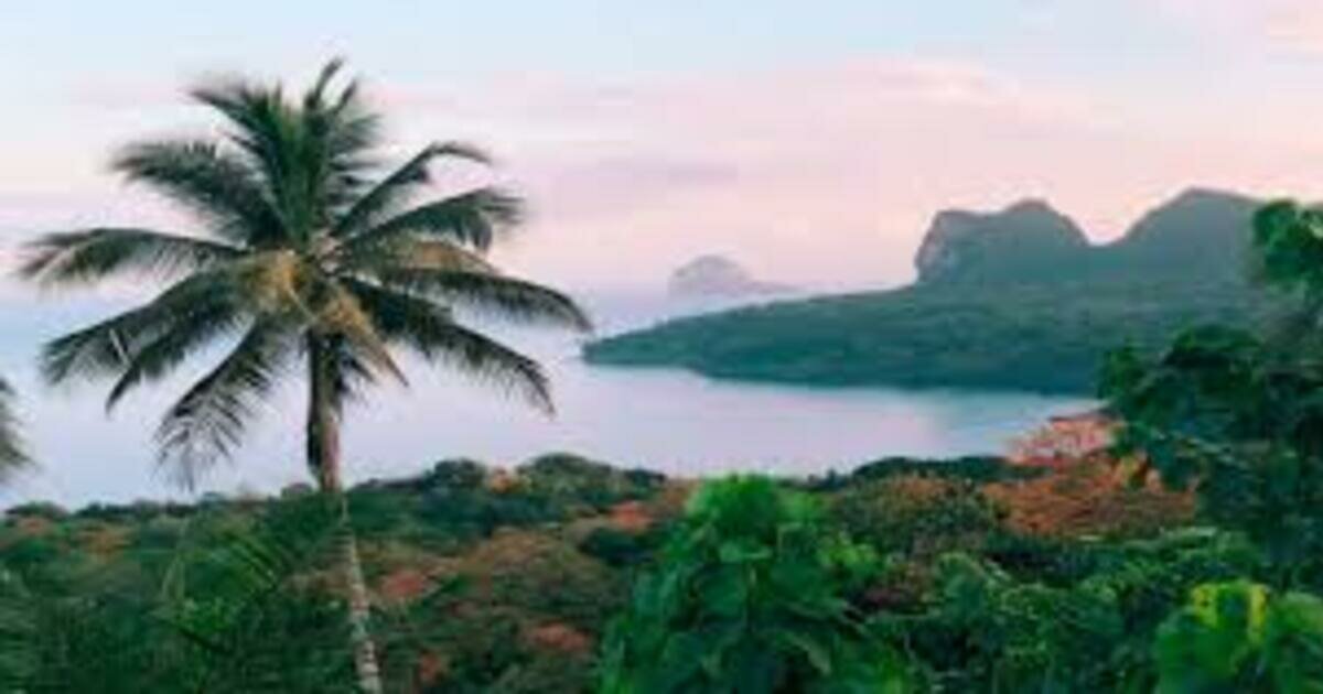 5x5 Islands Quiz - By snowcat638