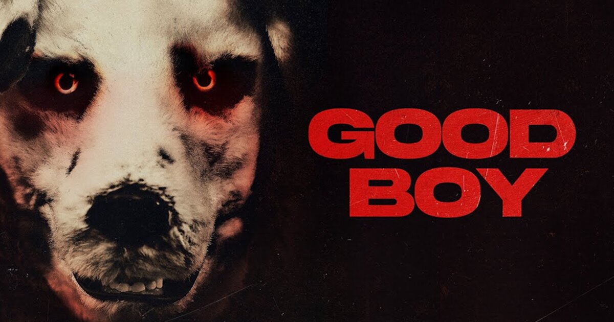 Good Boy (2022) Quiz - By mucciniale