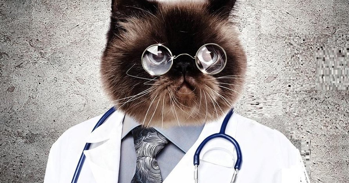Medical Acronym Pick Quiz medical-acronym-pick-quiz
