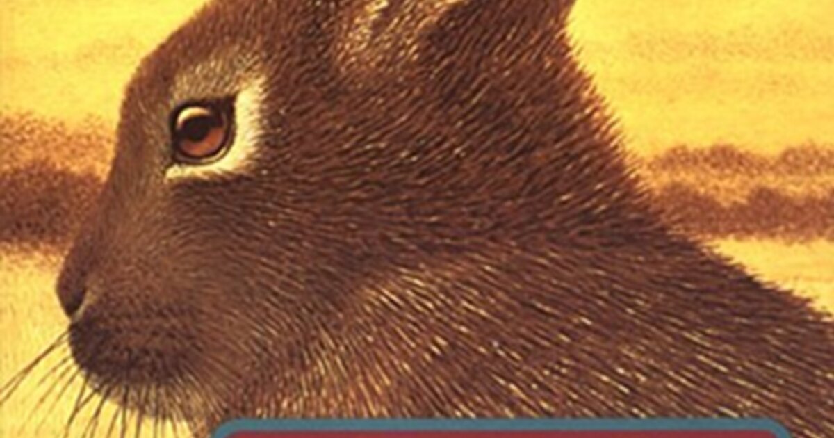 Word Ladder Challenge: Watership Down Quiz - By metashades