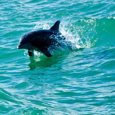 Countries by Water Borders Quiz