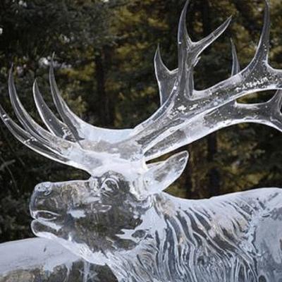 20 Amazing Ice Sculpture Animals Quiz