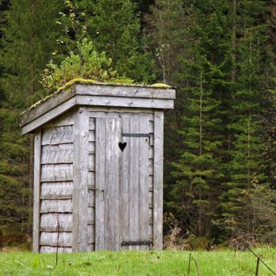 Words with 'Loo' Quiz