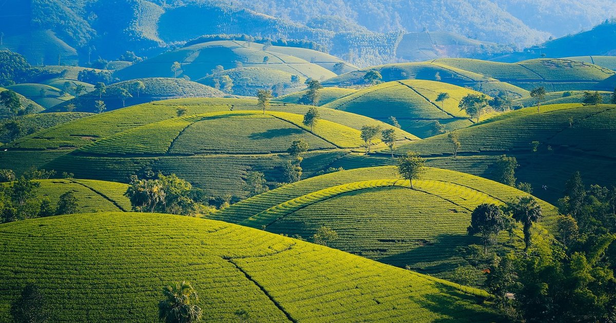 7-Letter Asian Country Blitz Quiz