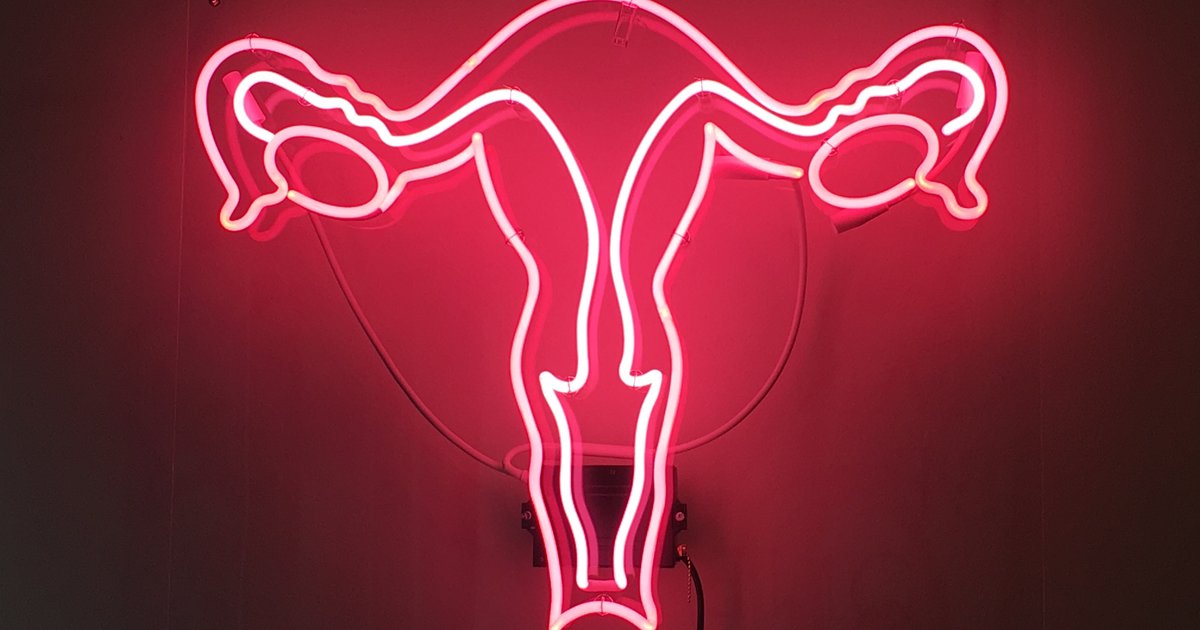 the-female-reproductive-system-quiz-by-chaosbee