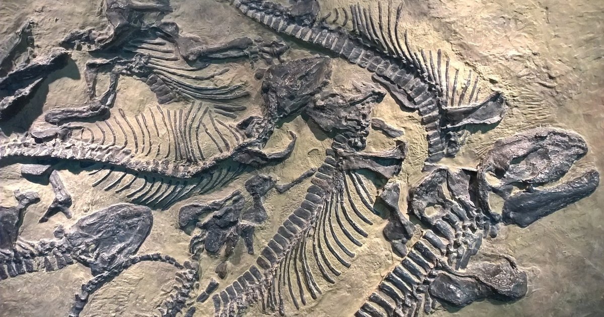 Dinosaur Fossils Quiz - By kfastic