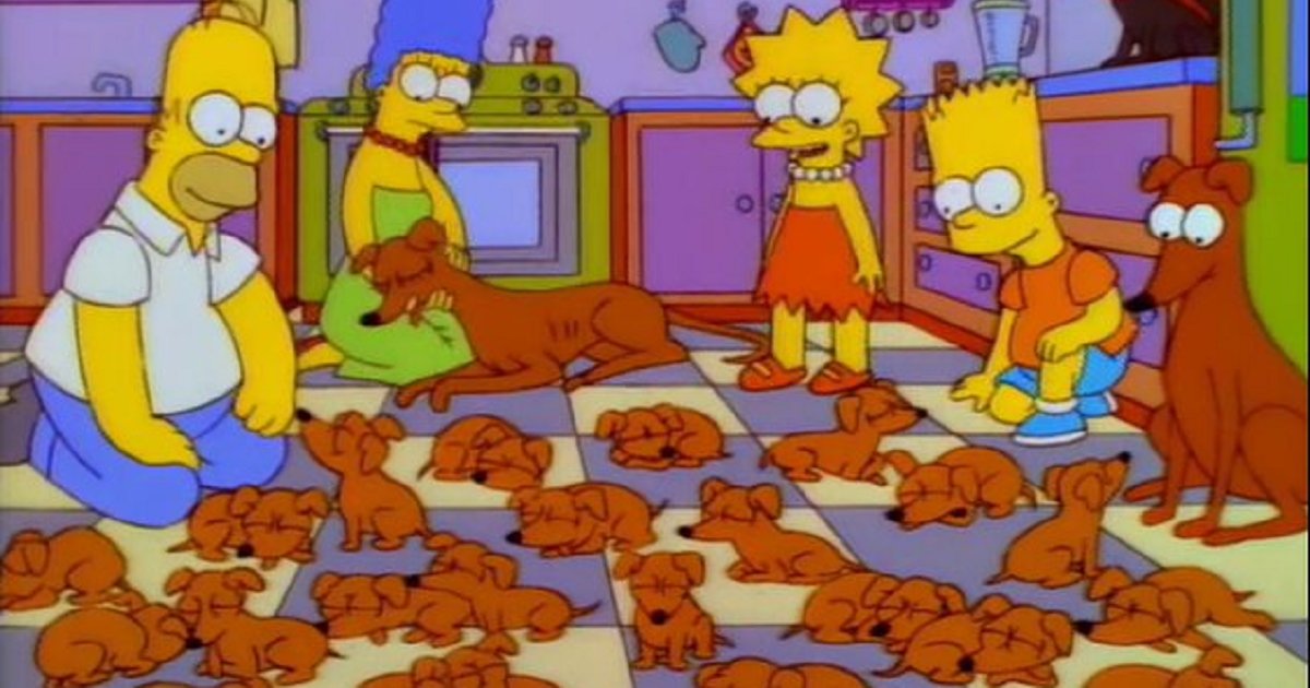 Simpsons Animals Quiz