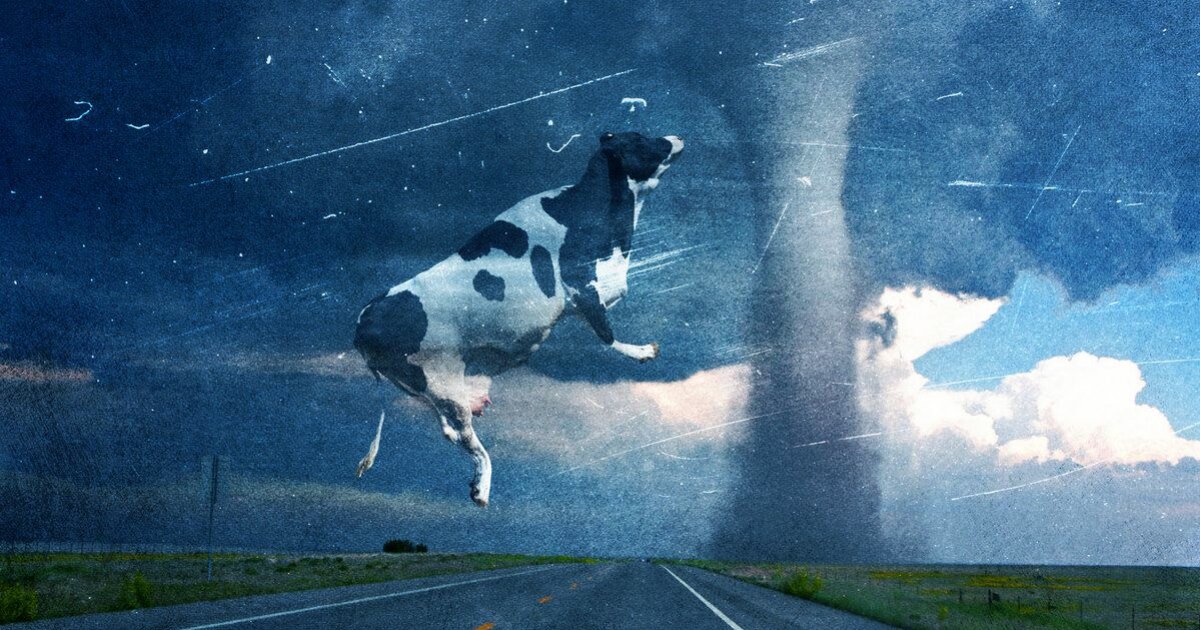 Disaster Movies Picture Click Quiz