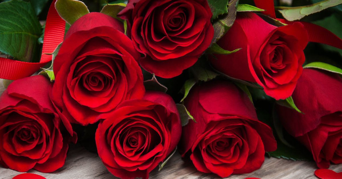 Find the Red Things (Blitz) Quiz