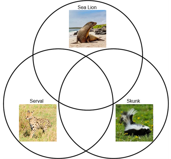 Venn Diagram : 'S' Animals II Quiz - By harleydog