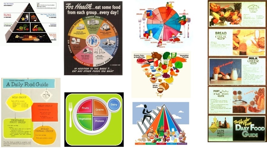 A History of Nutrition Guides Quiz - By Returner00