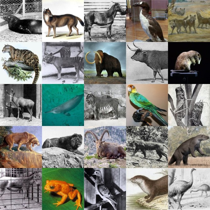 'X'-tinct Animals Quiz - By tusker_girl