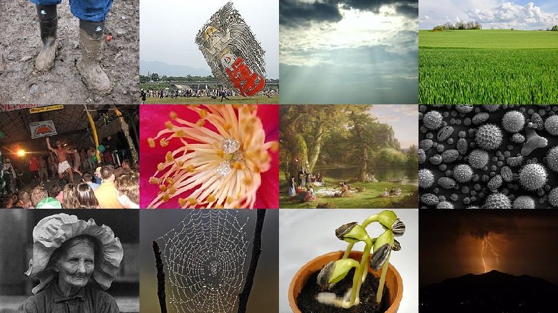Wiki Springtime Picture Click Quiz