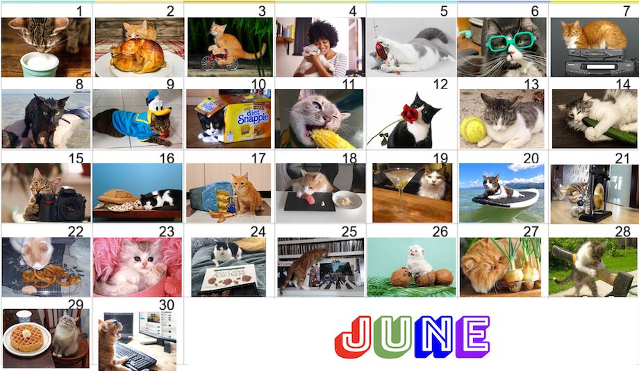 Calendar Cats: June Quiz