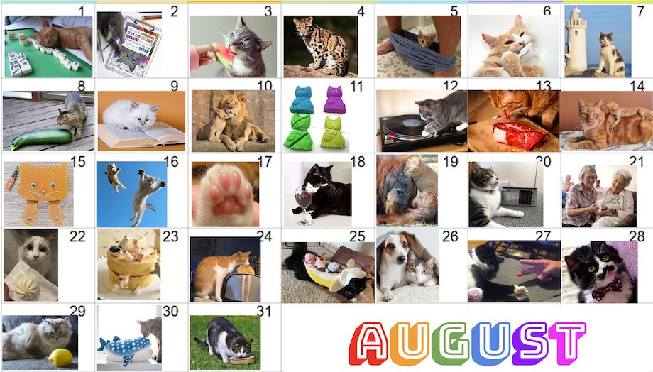 Calendar Cats: August Quiz