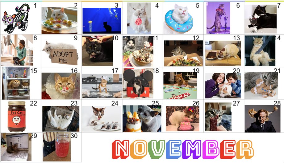 Calendar Cats: November Quiz