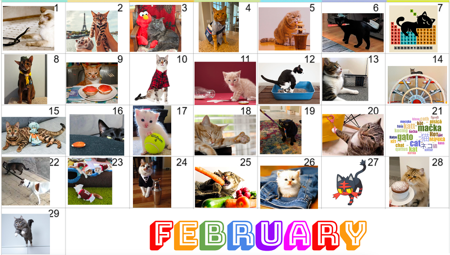 Calendar Cats: February Quiz