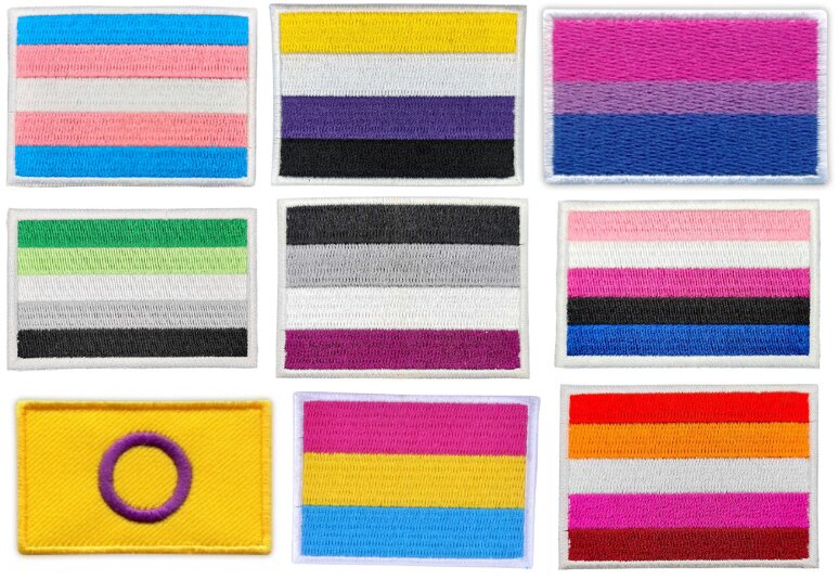 Pride Flags by Patch Quiz