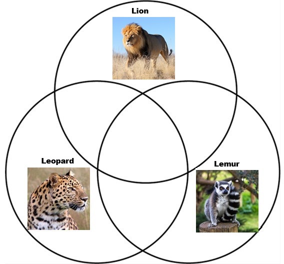 Venn Diagram : 'L' Animals Quiz - By harleydog