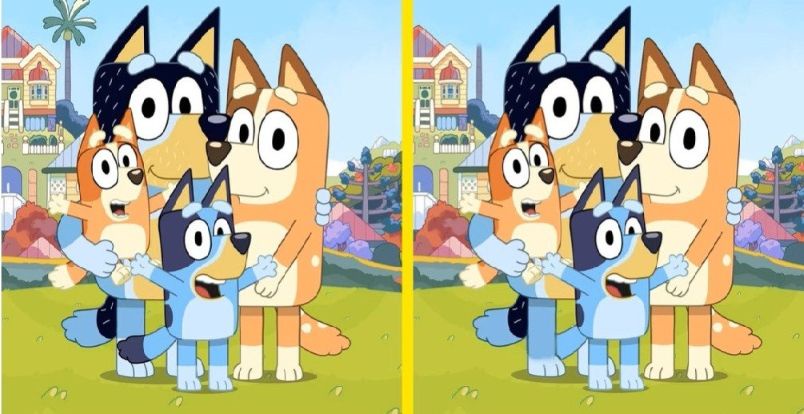 Spot the Difference — Bluey Edition #6 Quiz - By Narduc