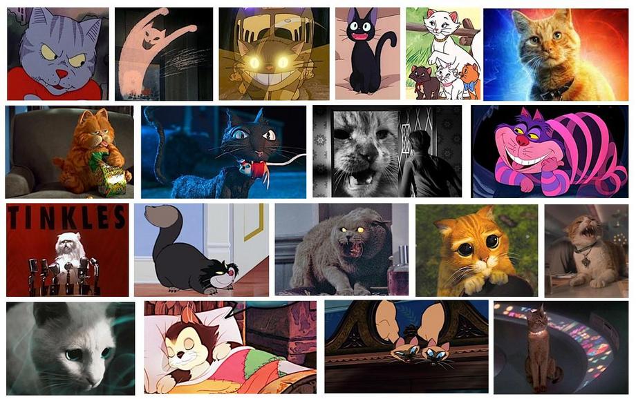 Movies by Cat Quiz - By mucciniale