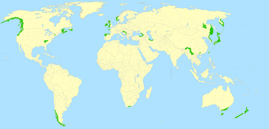 Every temperate rainforest on a map - minefield Quiz - By sseabs333
