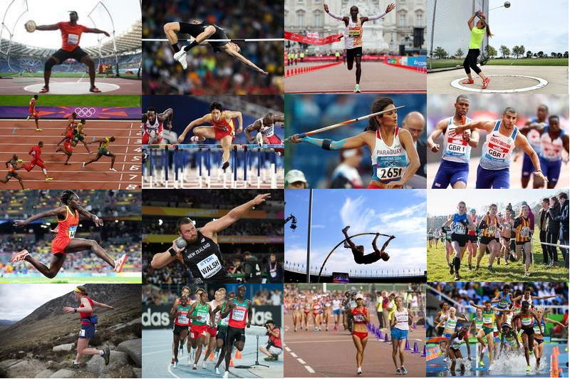 Track and field disciplines Quiz - By ZYX