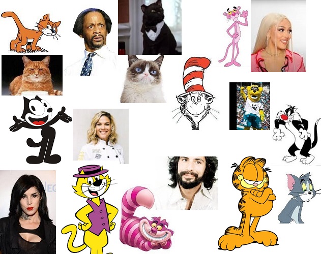 Who's that Cat? Quiz - By harleydog