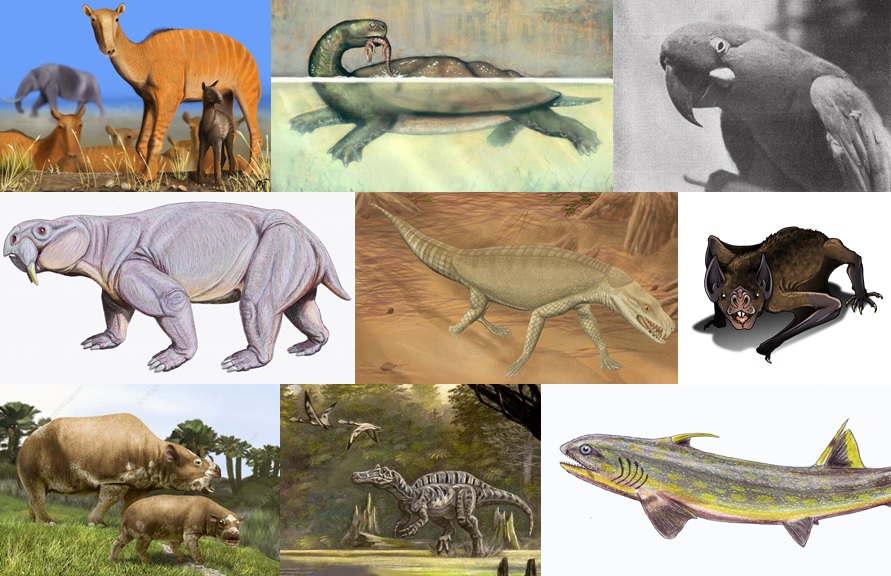 Extinct Animals of Brazil Quiz - By Extinctanimals22