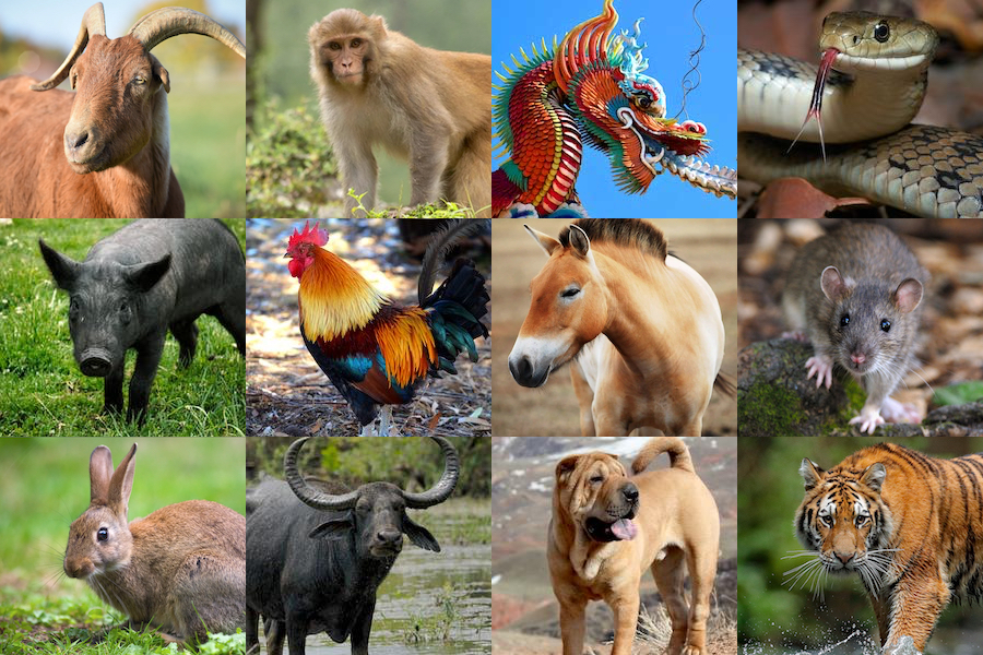 Chinese Characters: Zodiac Animals Quiz - By Peacemaker