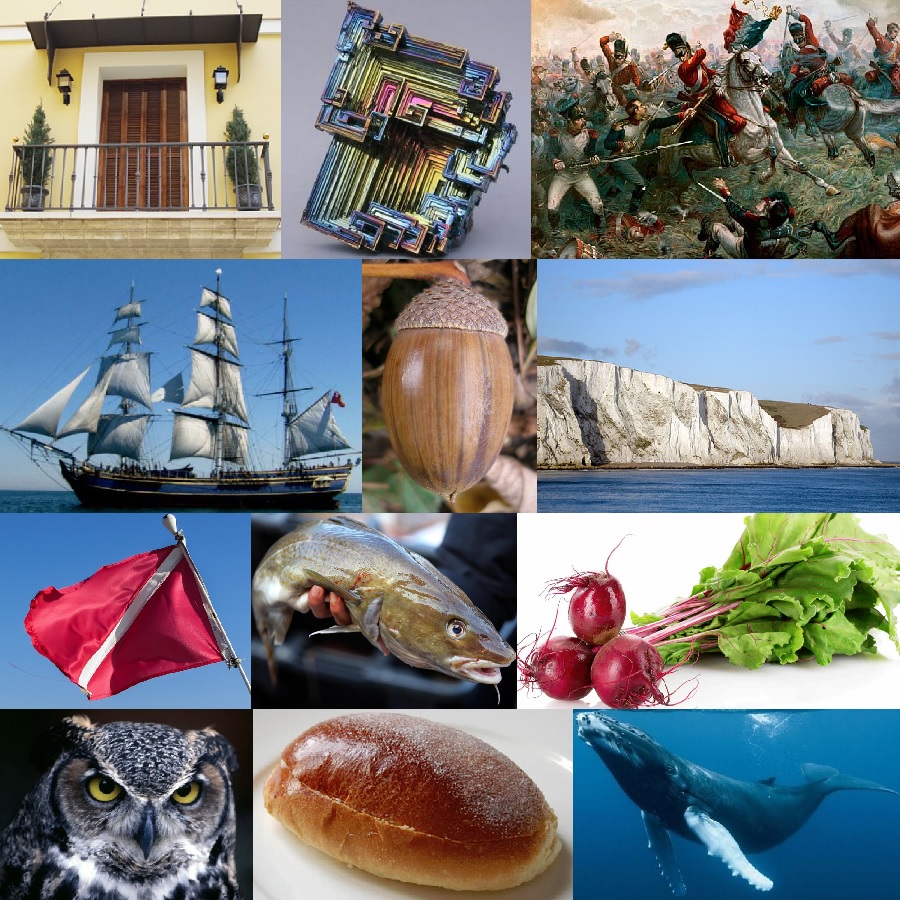 Spanish Nouns by Consonant: B Quiz - By SporcleEXP