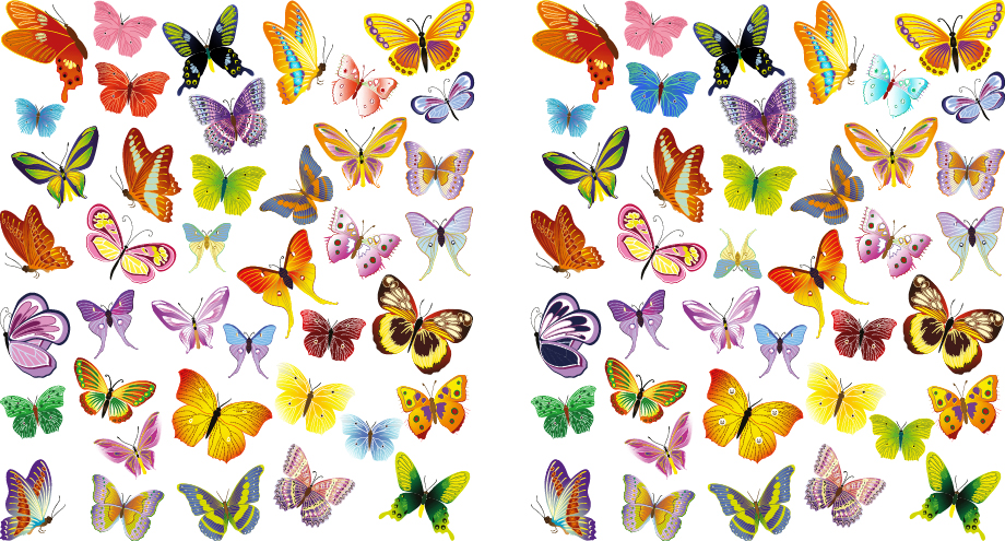 Click the Differences: Butterflies Quiz - By Stavia