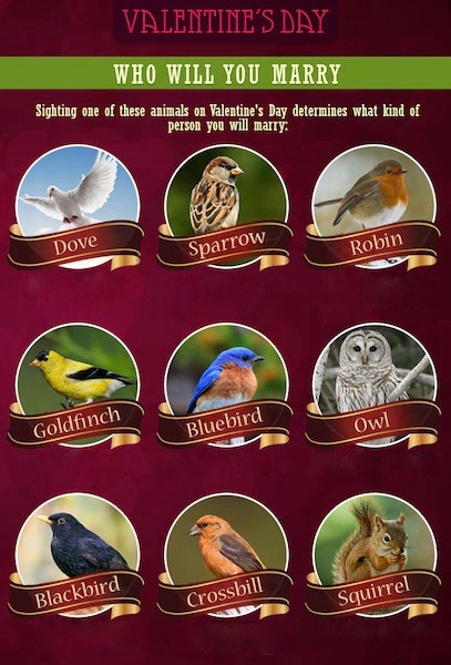 Valentine's Day Superstitions and Animals Quiz - By CGMFan1