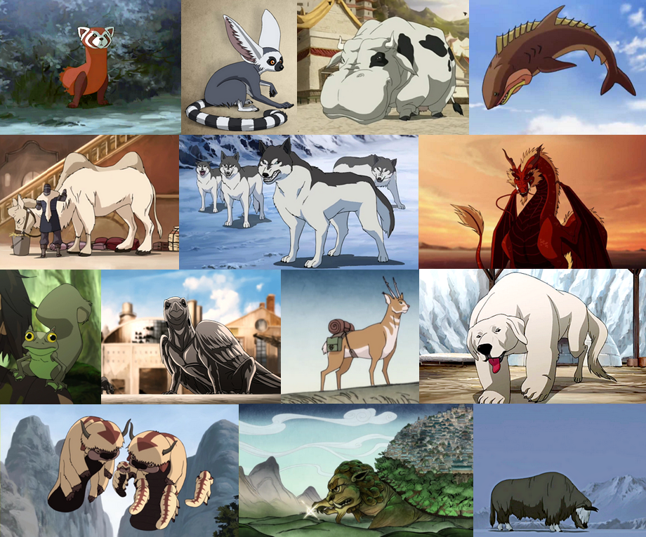 Legend of Korra Creatures Quiz - By Extinctanimals22