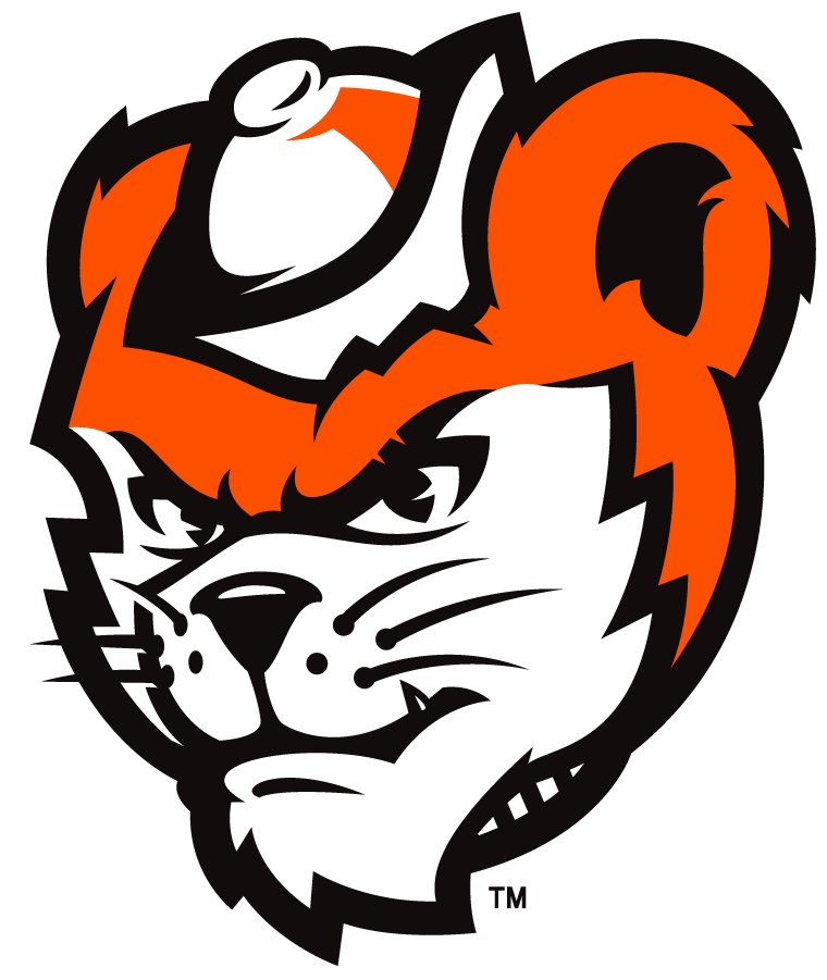 Hard College Logos To Guess
