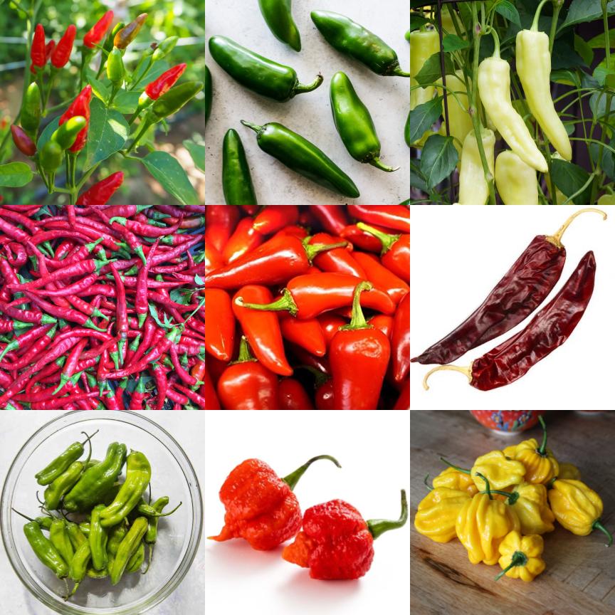 9 in 30: Chilli Peppers Quiz - By CooCooCachoo